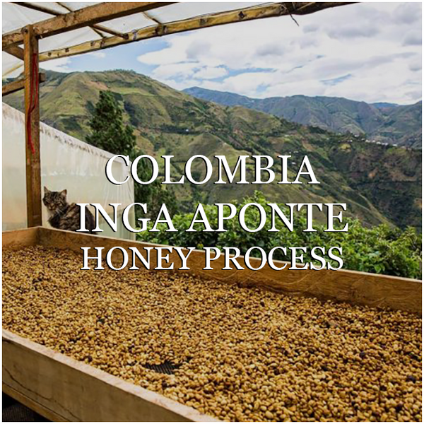 Coffees – CASE STUDY COFFEE ROASTERS